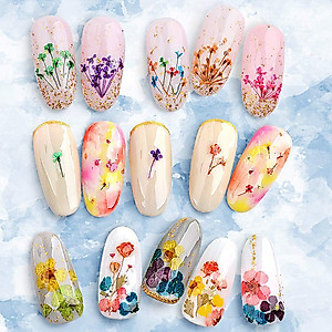 324PCS Dried Flowers Nail Art - Nail Art Accessories Kits, 81 Color Lovely Natural Nail Art, Dried Flowers for Resin Molds, Dry Flowers for Nails, YWLI