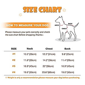 LESYPET Dog Cold Weather Coats, Small Dog Winter Snow Jacket with Pinch-Free Zipper, Dog Clothes with 2 D-Rings for Small Large Dog Boy