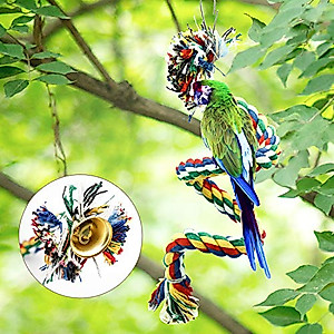 3Pcs Bird Perchs Bird Stand Toy and 1Pcs Bird Rope Perches, Wood Parrot Stand Platform Colorful Sand Paw Grinding Stick Cage Accessories Exercise Toys for Cockatiel Conure Budgies Parakeet (Wood+Rope)