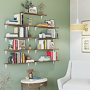 Wallniture Arras Floating Shelves for Wall Decor, 24" Bookshelf for Living Room Decor, Kitchen Organization and Storage Shelves, Bedroom Wall Shelf Set of 9, Walnut