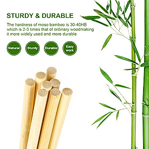 120PCS Wooden Dowel Rods, 1/4 x 8 Inch Round Unfinished Bamboo Dowel Rods, Wood Crafts Sticks Doweling Rods for Crafts and DIYers Arts Projects