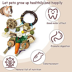 BNOSDM 2 PCS Rabbit Chew Toys for Bunnies Cage Hanging Guinea Pig Chewing Toys Rattan Ring with Snacks Natural Small Animals Teeth Grinding Toy for Hamster Chinchilla Ferret Hedgehog