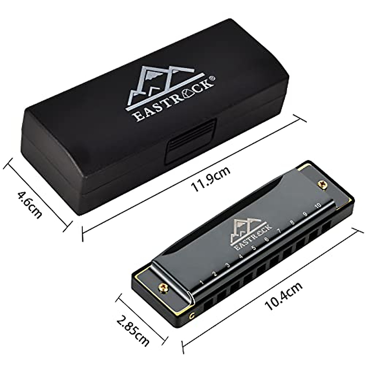 EastRock Blues Harmonica Mouth Organ 10 Hole C Key with Case, Diatonic Harmonica for Professional Player, Beginner, Students gifts, Adult, Friends, Gift Black