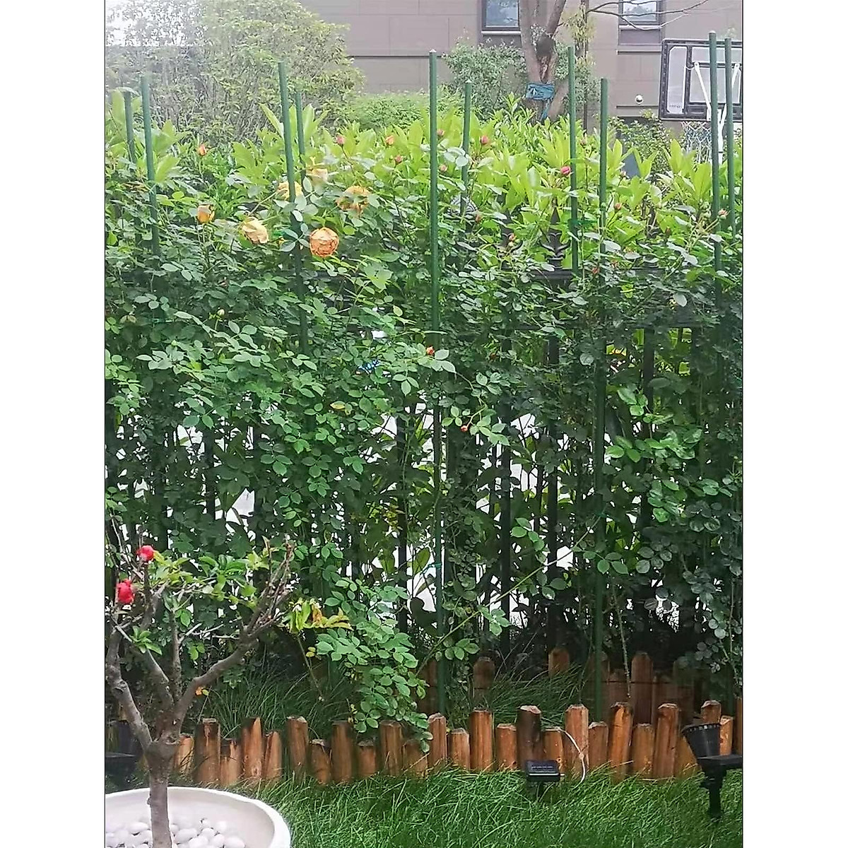 G-LEAF Sturdy Metal Garden Stakes 4 Ft Plastic Coated Steel Tube Plant Sticks for Tomato,Cucumber,Strawberry, Bean,Tree,Pack of 50