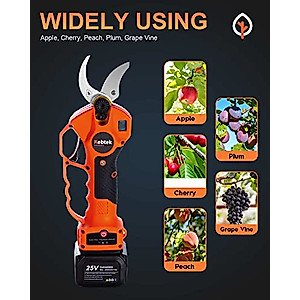 Kebtek Professional Pruning Shears Electric Pruner Branch Cutter, 25V Cordless Pruning Shears Heavy Duty with 2 Pack Brushless Motor Rechargeable -40mm [1.57 Inch] Cutting Diameter