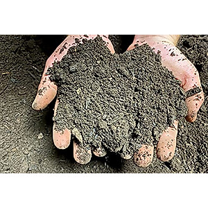 Organic Compost 1 Gallon