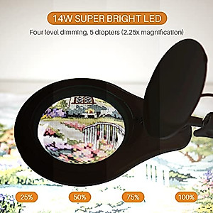 Bemelux LED Magnifying Lamp with Clamp, 5 Inch Magnifier Glass Lens, Metal Swing Arm Dimming 1200 Lumens Lighted Magnifying Desk Lamp for Crafts, Bright 60PCS LEDs - 2.25X Magnification(Black)