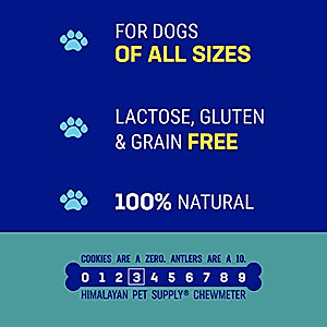 Himalayan Dog Chew Yak Cheese Dog Chews, 100% Natural, Long Lasting, Gluten Free, Healthy & Safe Dog Treats, Lactose & Grain Free, Protein Rich, Medium, 4.5 oz