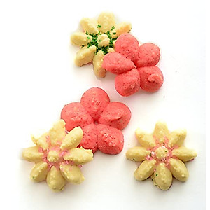 Norpro S/S Cookie/Icing Press with Case, Black