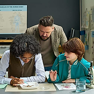 Anatomy Lab Perch Specimen for Dissection, for Biology Classrooms, Plain Injection 7-9 Inches, Vacuum Pack of 10