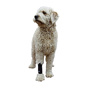 Labra Extra Supportive Dog Canine Front Leg Metal Spring Compression Brace Wrap Sleeve Protects Wounds Brace Heals and Prevents Injuries and Sprains Helps with Loss of Stability Caused by Arthritis…