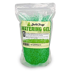 Josh's Frogs Cricket Colony Bundle- Vermiculite Substrate, Food, Ready to Use Water Gel, and Egg Flats (Enough for a 10 Gallon Tank)