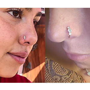 QWALIT Nose Rings Nose Rings Hoops Nose Piercings Double Hoop Nose Rings for Women Nose Piercing Jewelry Hoop Nose Rings Nose Rings Surgical Steel Rose Gold