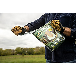 Boa Hold Post Anchor