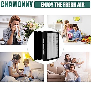 CHAMONNY IAF-H-100A True HEPA Idylis A Replacement Filter, Compatible with Filtrete FAP-C01-A and IDYLIS AC-2119, IAP-10-100, IAPC-40-140, IAP-10-150 Air Purifier, 2 HEPA Filters + 4 Pre-filters