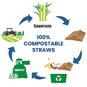 Vallo Compostable Drinking Straws - 100% Biodegradable, Recyclable, Non-Soggy, Suitable for Hot and Cold Drinks, Eco-friendly Sugarcane Material, NOT Paper, 8" Standard Size - 100 Count