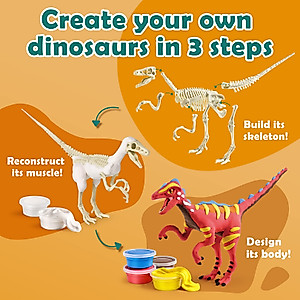 Drama Planet Air Dry Clay Dinosaur Craft Kit for Kids, Build and Design Your Own Dinosaurs with Modeling Clay, 3 Dinosaur Fossil Skeletons, Gifts for Boys and Girls Ages 6 & Up