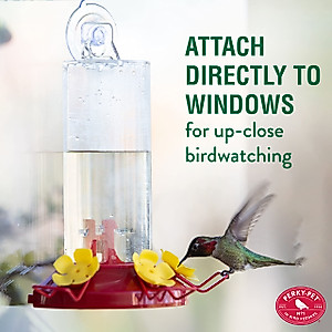 Perky-Pet 217 Window Mount Plastic Hummingbird Feeder with Perches - 8 oz Outdoor Garden Décor Hummingbird Feeder,  iridescent color