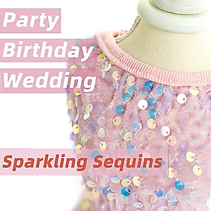 JcDuDoi Dog Princess Formal Dress for Small Dogs Girl,Sparkling Sequins Sweet Pet Clothes Wedding Birthday Party Puppy Dresses,Cat Apparel Accessories Costumes Outfit Skirt Pink (Pink, Medium)