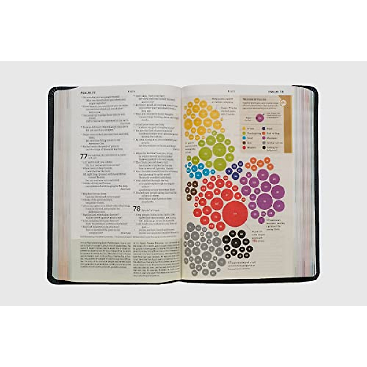 NLT Student Life Application Study Bible, Filament Enabled (LeatherLike, Charcoal Gray Striped, Red Letter)