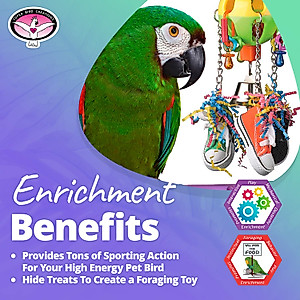 Super Bird Creations SB1105 Kick Ball Bird Toy, Medium/Large Bird Size, 12" x 4"