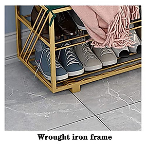ALDEPO Shoe Cabinet Bench Shoe Rack with Storage Simple and Creative Wrought Iron Structure Shoe Changer Stool with Soft Cushion Shoe Rack Double Layer Bench Large Capacity