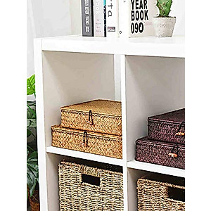 Flat Seagrass Storage Bins with Lid, Wicker Basket for Shelf Organize, Set of 2 (Small+Large)