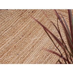 Scallop Pattern Jute Bohemian Area Rug (2' x 3')