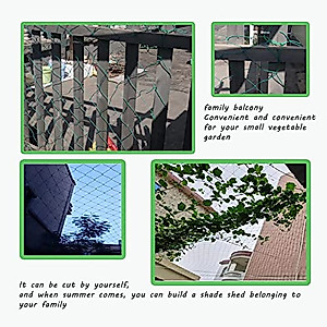 Trellis Netting Kit for Climbing Plants, Heavy Duty Durable Garden Trellis Netting for Vines Cucumbers Grape, 65' Twist Ties &18 Pcs Plant Clips &12 Pcs Adjustable Plant Ties (6.5x16.5Ft, 4" Mesh)