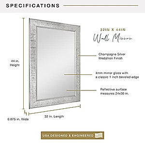 MCS 24x36 Inch Stamped Medallion Wall Mirror, 32x44 Inch Overall Size, Champagne Silver (47700), 32 by 44-Inch