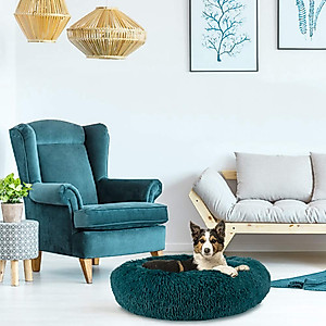 SlowTon Calming Dog Bed for Small Dogs Cats, Donut Cuddler Cozy Warm Anti-Anxiety Dog Cat Cushion Mat, Ultra Soft Fluffy Plush Round Pet Pillow Non-Slip Bottom Machine Washable(Teal,X-Small 20")
