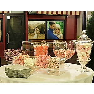 Oaklyn Large Clear Condiment Server Organizer on Ice with Containers and Lid – BPA-Free Serving Bar Compartments and Plastic Box Tray – Chilled Caddy Dispenser Set - Holds 80 oz Total