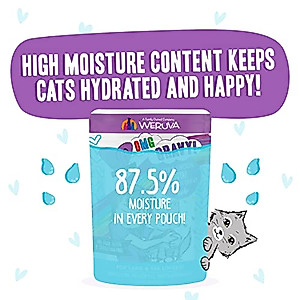 Weruva B.F.F. OMG - Best Feline Friend Oh My Gravy!, Booya! Beef & Chicken in Gravy Cat Food, 2.8oz Pouch (Pack of 12)