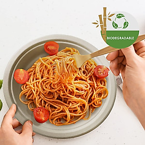 PAMI 250-Piece Eco-Friendly Disposable Dinnerware Set with Biodegradable Plates, Cutlery, Cups, Degradable Tableware for Parties and Events