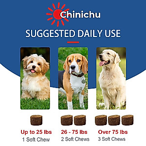 Chinichu Multivitamin Treats for Dogs - Glucosamine Chondroitin for Joint Support + Digestive Enzymes & Probiotics - Grain Free Dog Vitamin for Skin & Coat + Immune Health - Salmon Flavor - 120 Count