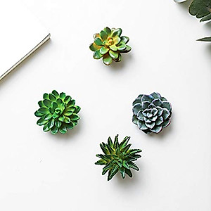CoCoMe Funny 3D Resin Succulent Fridge Refrigerator Magnets, Set of 4