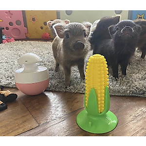 Corn-Shaped Dental and Treat Stick for Dogs Puppies Pigs Rabbits and Other Small Animals