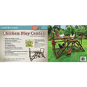 Coops & Feathers Chicken Activity Center-Play, Swing, & Roost-Includes Treat Basket (Large)