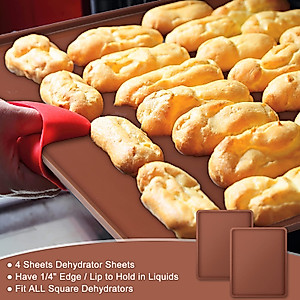 8 Pcs Silicone Dehydrator Mats 10 Pcs Mesh Screen Dehydrator Sheets Nonstick Reusable Fruit Dryer Trays for Jerky Fruit Herbs Flax Crackers Crust Tray