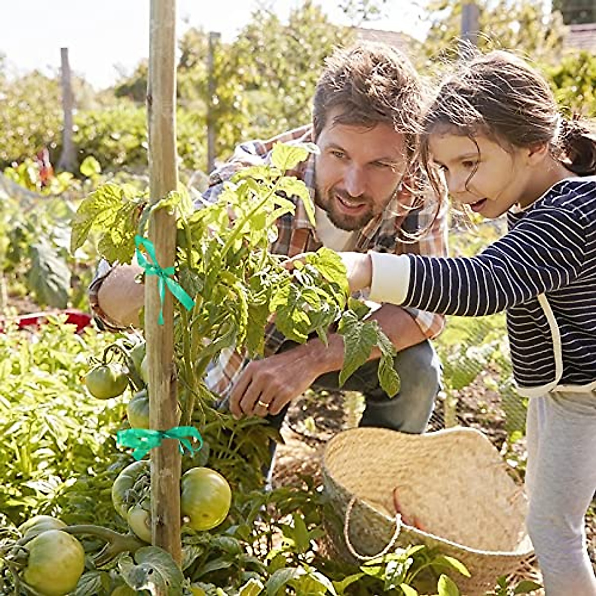 Unves 2 Pack Garden Tape Roll, 150 Ft Thick Reusable Green Plant Nursery Tape - 1/2" Wide Stretch Tie Tape Support for Indoor Outdoor Patio Plant, Tree, Branches, Climbing Flowers, Vegetables