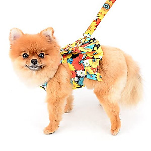 SMALLLEE_LUCKY_STORE Dog Floral Harness Dress with Leash Set,Bow Puppy Princess Dress for Small Medium Dog Cat Girls Adjustable Pet Skirt with D-Ring Female Dog Clothes Summer Apparel,Orange,L