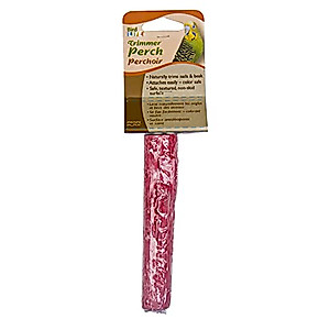 PENN-PLAX Small Bird Starter Kit with Birdcage and Accessories – Great for Parakeets, Lovebirds, Parrotlets, Finches, Canaries, and More – Arch Style Cage – White