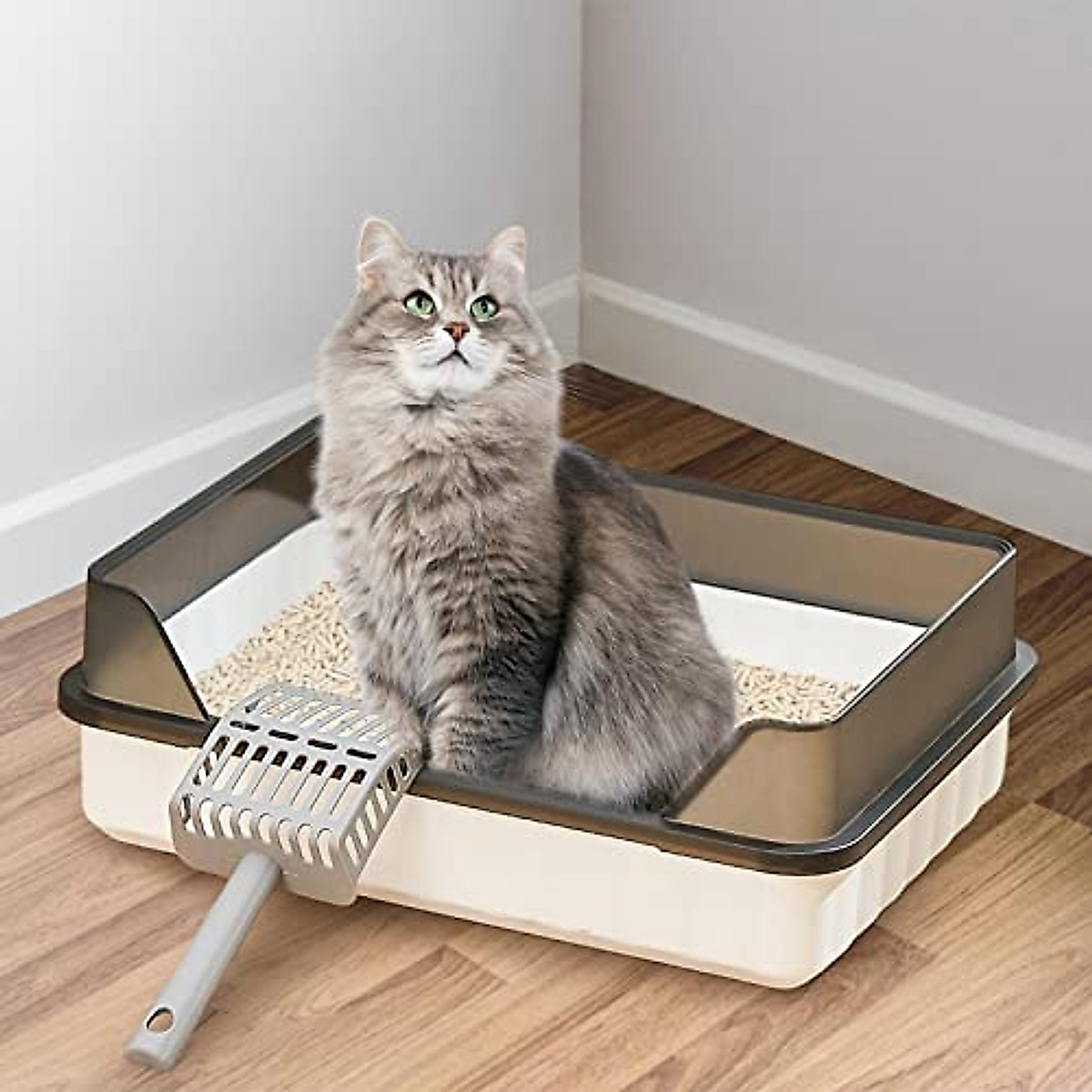 Baoblaze Pet Litter Tray Potty Toilet Litter Pan Detachable Frame Container Splashproof Cats Litter Box for Small Medium Cats, Rabbit, Bunny, Kitten, Gray Black
