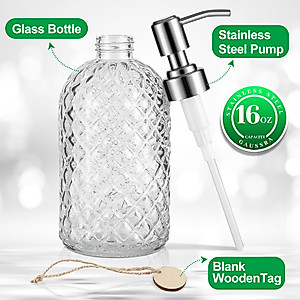 MOCLIF 16 OZ Clear Soap Dispenser with 304 Rustproof Stainless Steel Pump Bathroom Kitchen,Soap Dispenser,Refillable Liquid Glass Soap Dispenser for Hand Soap, Dish Soap, Lotion(Clear)