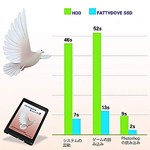 FATTYDOVE 2.5 inch SSD 240GB Internal Drive SATA III 6 Gb/s Solid State Drive with SATA 3.0 Cable for 4K Video Game/PC (240GB SSD Drive)