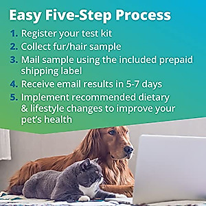 5Strands Pet Health Test - Food Intolerance, Environment Intolerance, Nutrition, Metals and Minerals - at Home Dog or Cat Hair Sample Collection Kit, Results in 7 Days, Works for All Ages and Breeds