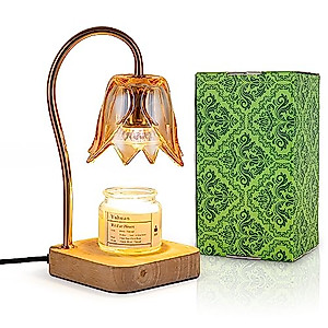 Candle Warmer Lamp with Timer, Dimmable Candle Lamp Warmer with 2 Wax Warmer Bulbs, Candle Warming Lamp for Jar Candles & Wax Melt, Cozy Candle Warmer Light for Home Decor, Birthday Gifts for Women.