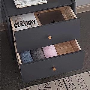 Solid Wood Nightstand Modern Bedside Table Rubber Wood End Table Scandinavian Side Table 2 Drawer Bedside Cabinet for Bedroom Living Room