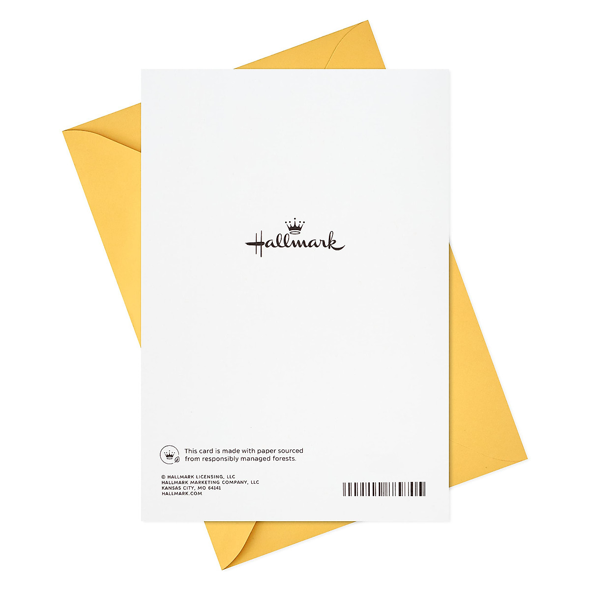 Hallmark 21st Birthday Card (Awesomeness)