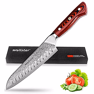 WELLSTAR Santoku Knife, Damascus Steel Kitchen Knife 7 Inch, Japanese AUS10 High Carbon Steel 67-Layer Blade Full Tang with Ergonomic G10 Handle, Razor Sharp Chefs' Knife - Gift Box